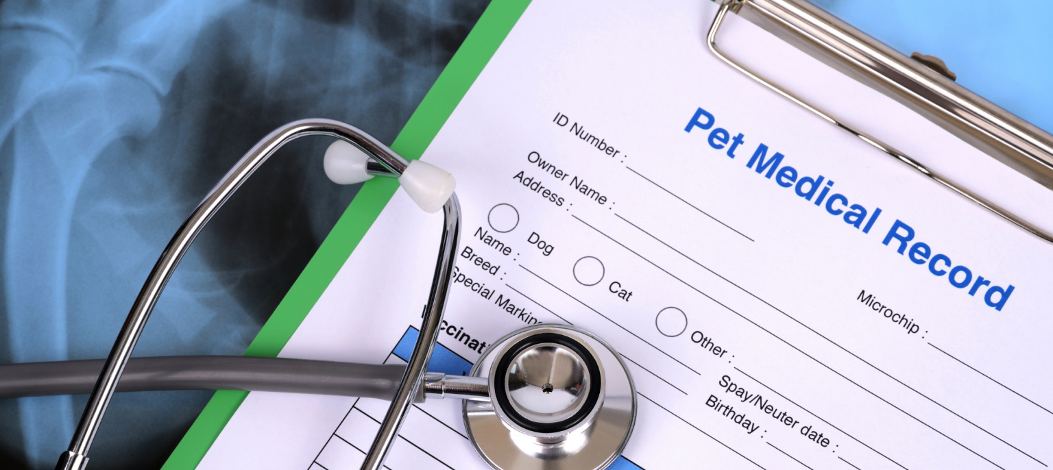 An All In One Pet Medical Records Organizer Pet Master ID an-all-in-one-pet-medical-records-organizer-pet-master-id